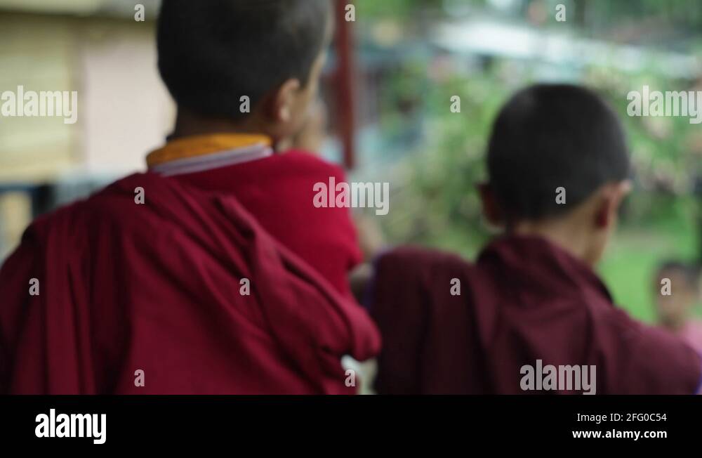 Buddhist monk boys Stock Videos & Footage - HD and 4K Video Clips - Alamy