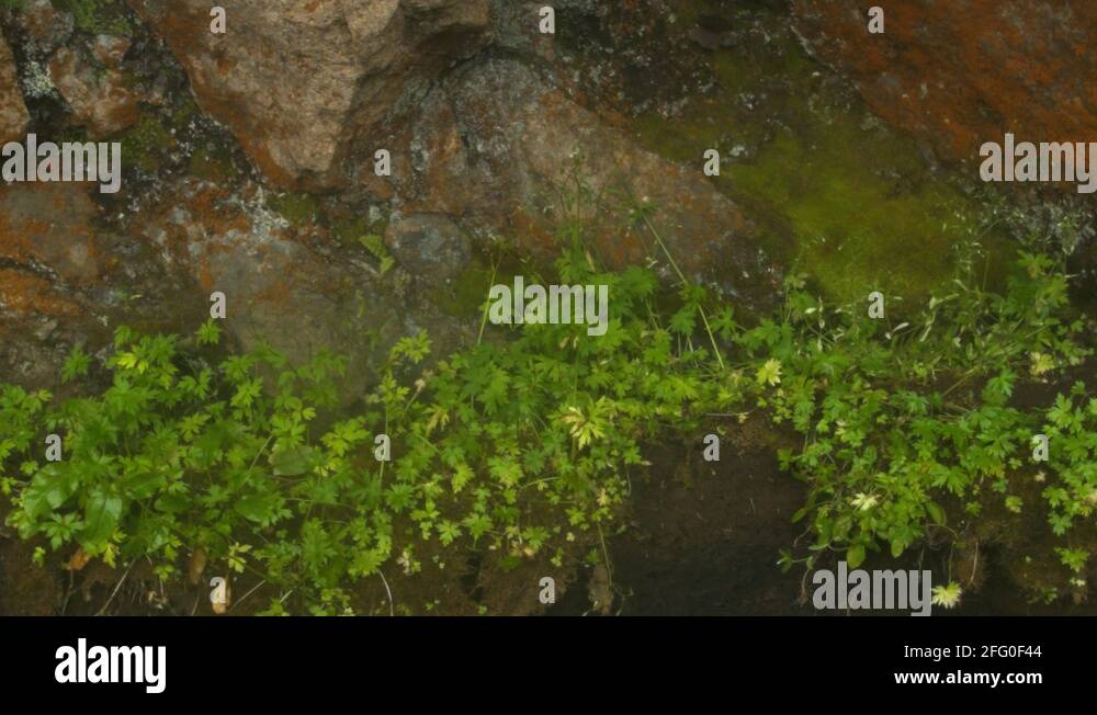 Cave wall texture Stock Videos & Footage - HD and 4K Video Clips - Alamy