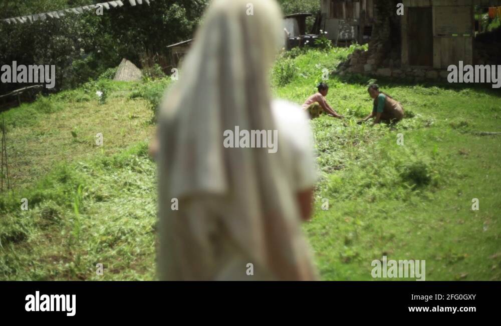 Sikkim village Stock Videos & Footage - HD and 4K Video Clips - Alamy