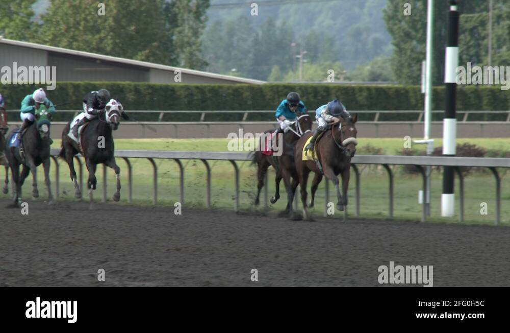 Race horses racing Stock Videos & Footage - HD and 4K Video Clips - Alamy