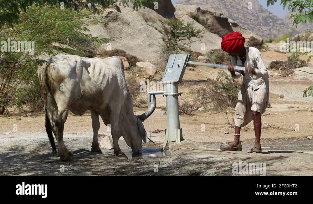 Man drawing water Stock Videos & Footage - HD and 4K Video Clips - Alamy