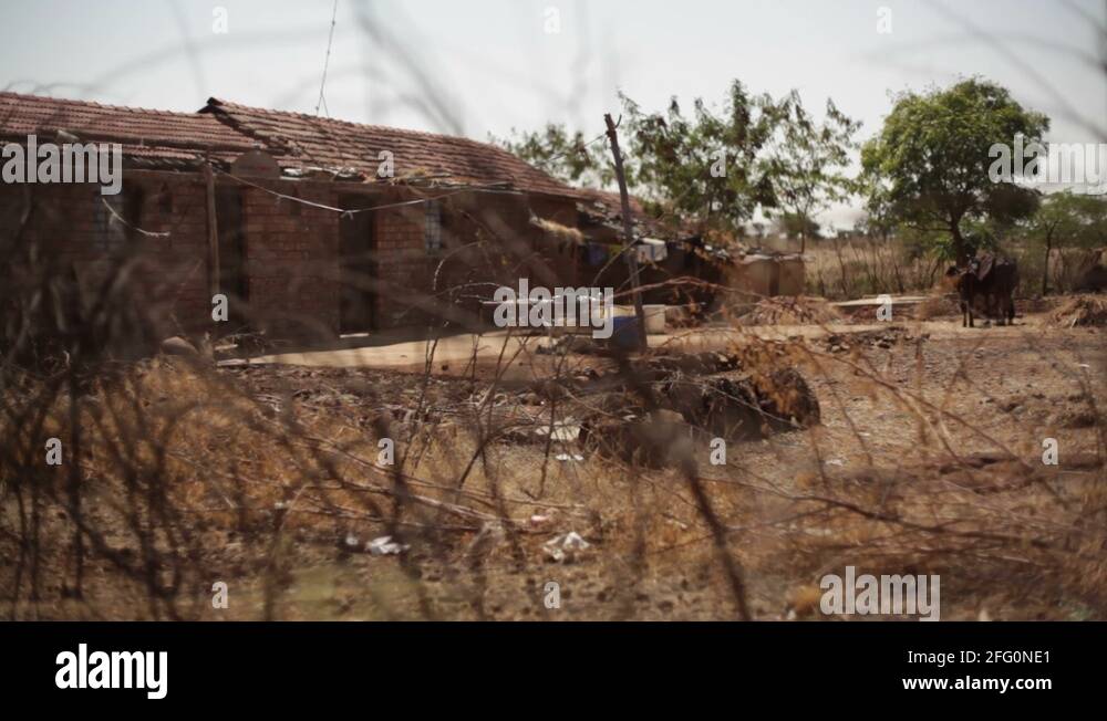 Red mud india Stock Videos & Footage - HD and 4K Video Clips - Alamy