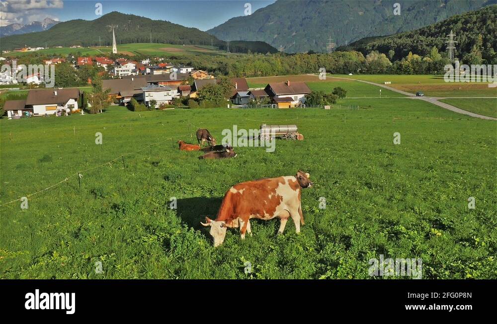 Pastoral in alpine mountain Stock Videos & Footage - HD and 4K Video ...