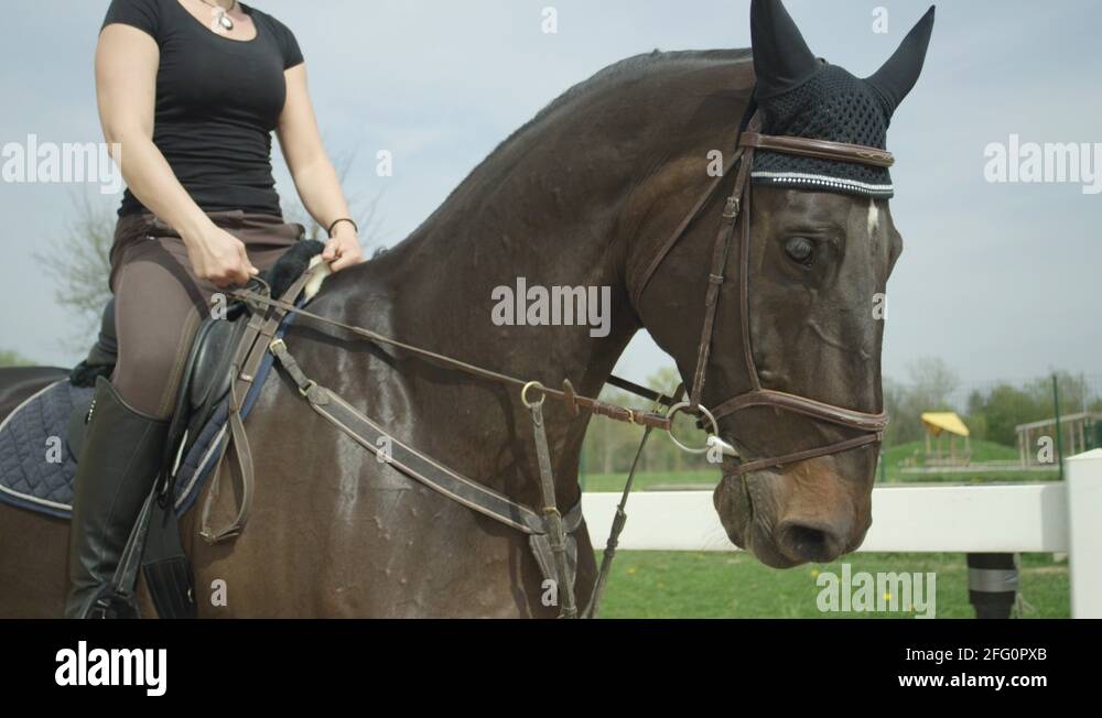 Female dressage rider Stock Videos & Footage - HD and 4K Video Clips ...