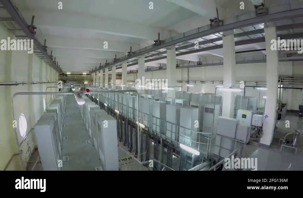 Purifying plant Stock Videos & Footage - HD and 4K Video Clips - Alamy