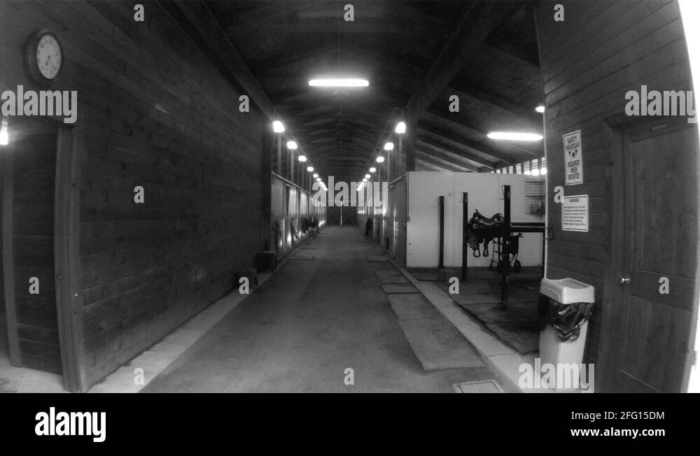 Racing stable Stock Videos & Footage - HD and 4K Video Clips - Alamy