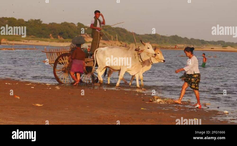 Burmese peasants on riverbank of Irrawaddy river in rural parts of ...