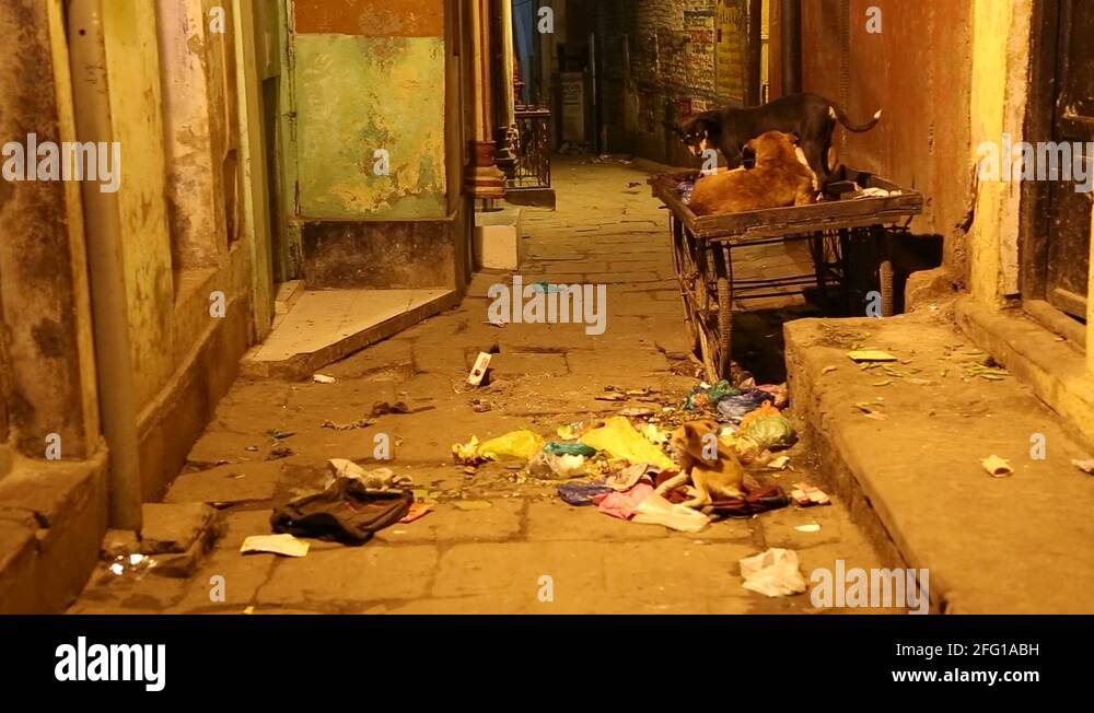 Laying waste Stock Videos & Footage - HD and 4K Video Clips - Alamy