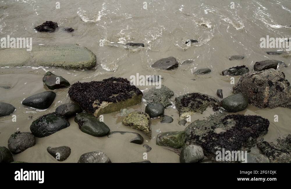 Sea lapping the shore Stock Videos & Footage - HD and 4K Video Clips ...