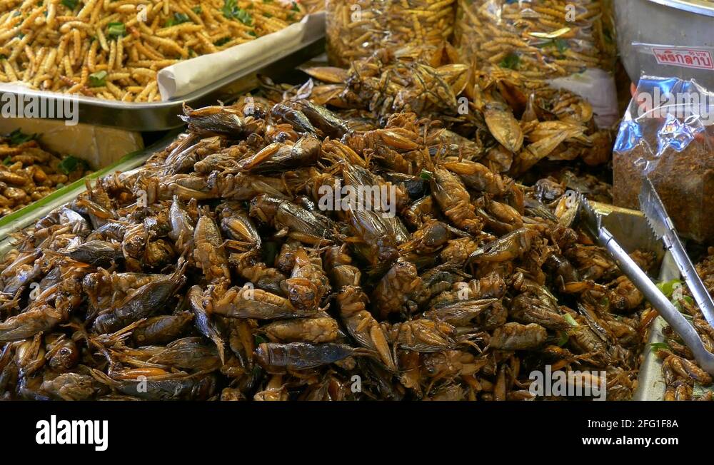 Fried cockroach thailand Stock Videos & Footage - HD and 4K Video Clips ...