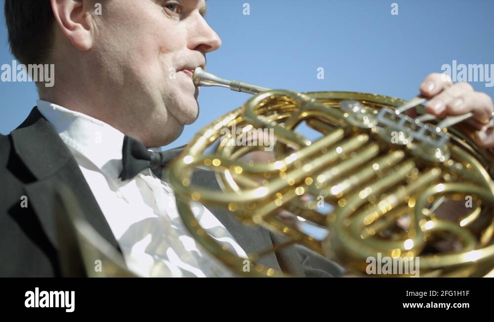 Classical orchestra instruments Stock Videos & Footage - HD and 4K ...