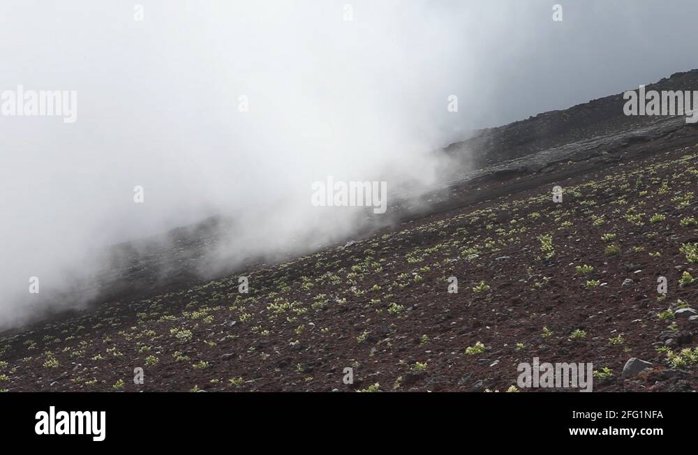 Rolling slope Stock Videos & Footage - HD and 4K Video Clips - Alamy