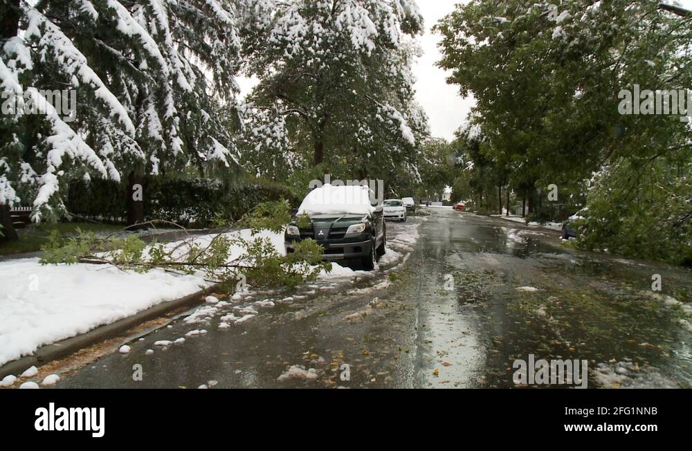 Snowstorm disaster, snow damaged tree, wide street shot Stock Video ...