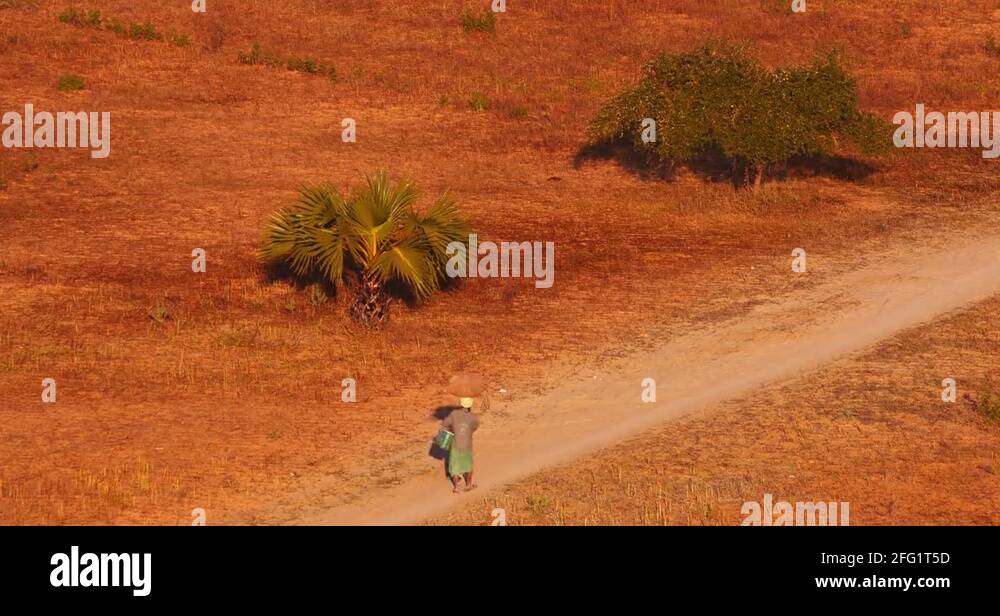 Dry land of rural Myanmar (Burma). Burmese woman carries load on head ...