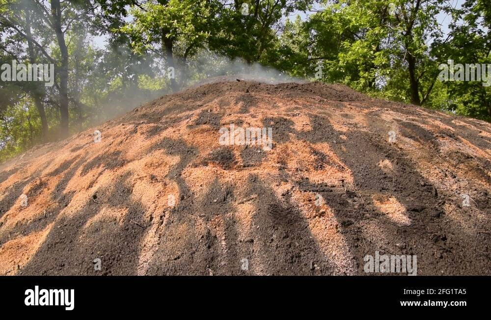 Smoke soil Stock Videos & Footage - HD and 4K Video Clips - Alamy