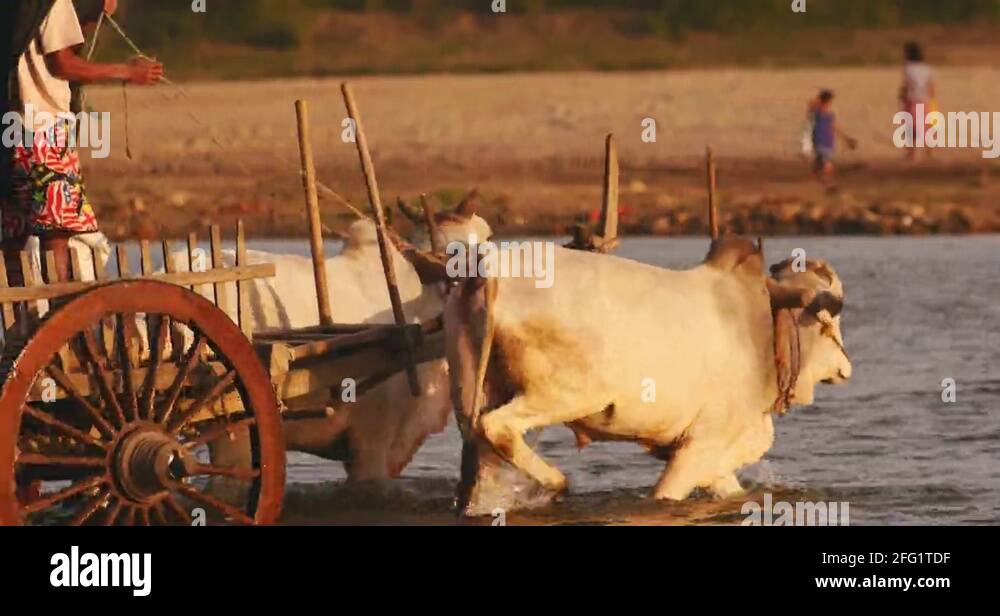 Myanmar burma burmese wheels cart Stock Videos & Footage - HD and 4K ...