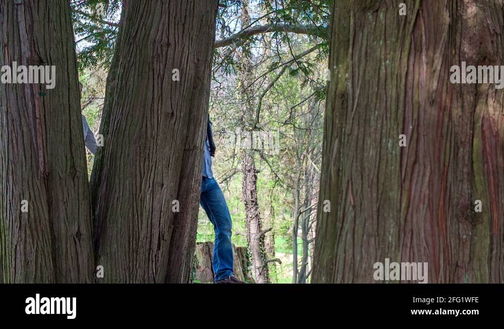 Husband and wife trees Stock Videos & Footage - HD and 4K Video Clips ...