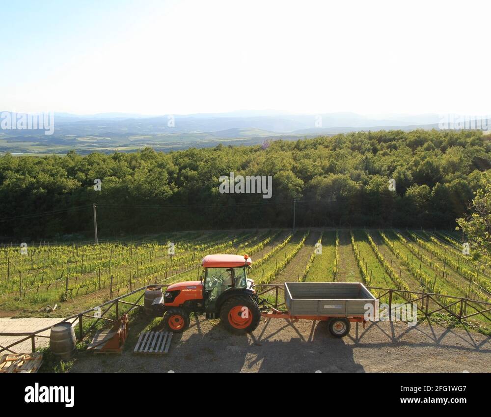 Vine tractor italy Stock Videos & Footage - HD and 4K Video Clips - Alamy