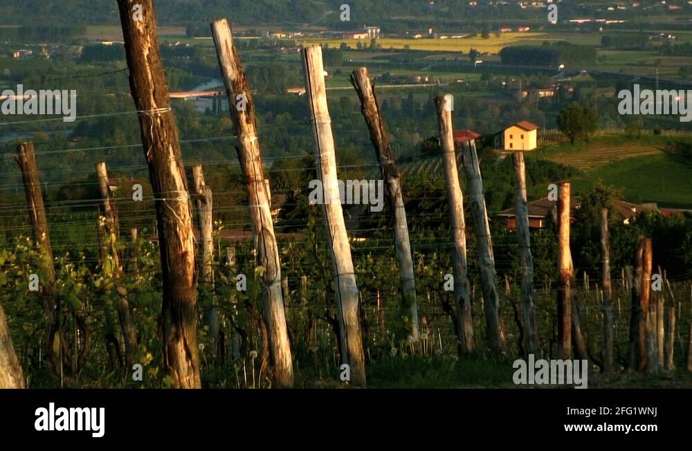Italian way of life Stock Videos & Footage - HD and 4K Video Clips - Alamy