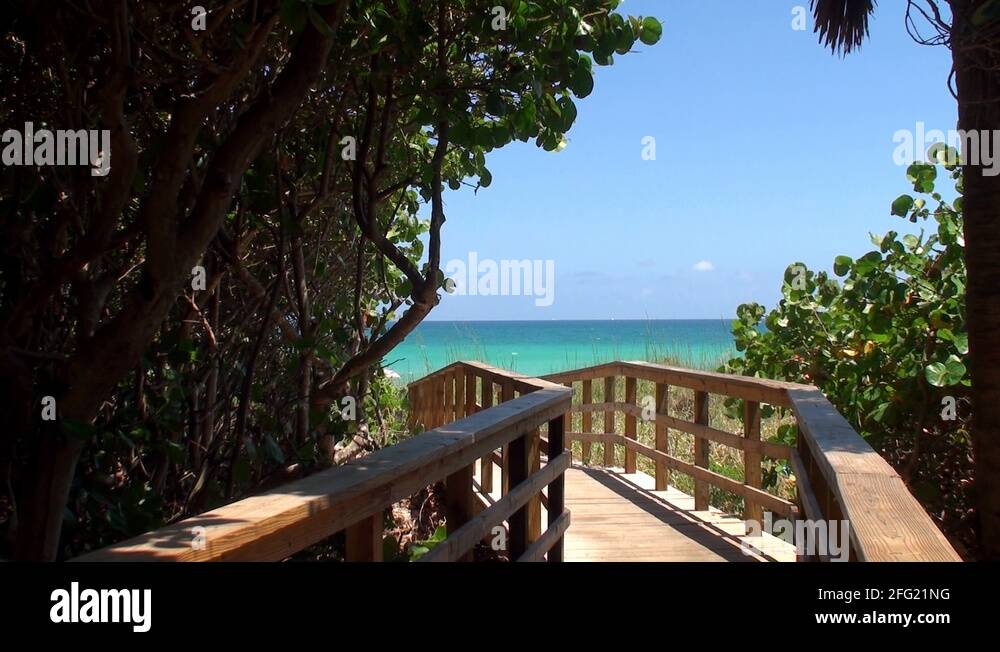 Wooden boardwalk pedestrian path Stock Videos & Footage - HD and 4K ...