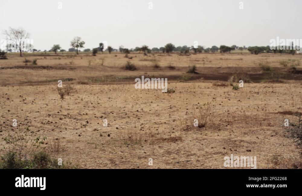 Drought landscape india Stock Videos & Footage - HD and 4K Video Clips ...