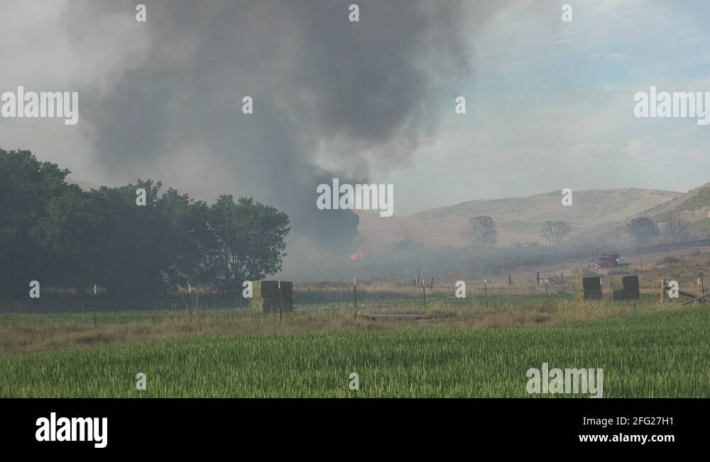 Farm building destroyed by wildfire fireman watch 4K Stock Video ...