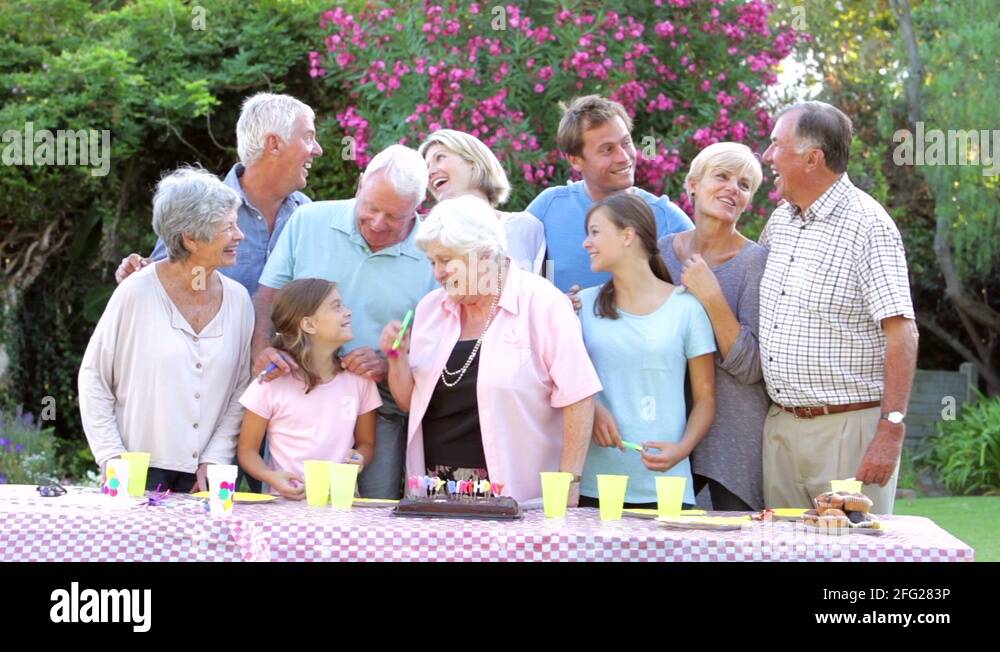 Large family group Stock Videos & Footage - HD and 4K Video Clips - Alamy