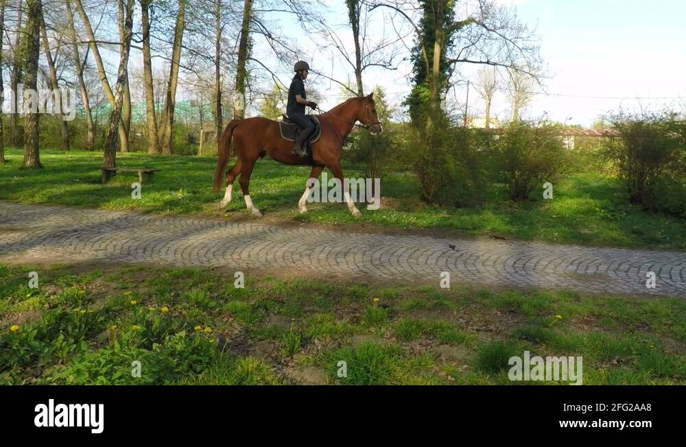 Horse riding park Stock Videos & Footage - HD and 4K Video Clips - Alamy