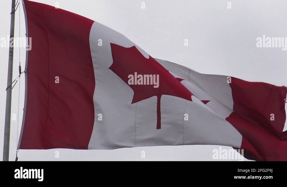 Canadian emblem Stock Videos & Footage - HD and 4K Video Clips - Alamy