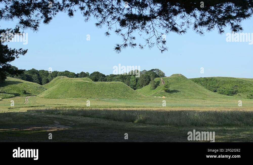 Tree mound Stock Videos & Footage - HD and 4K Video Clips - Alamy