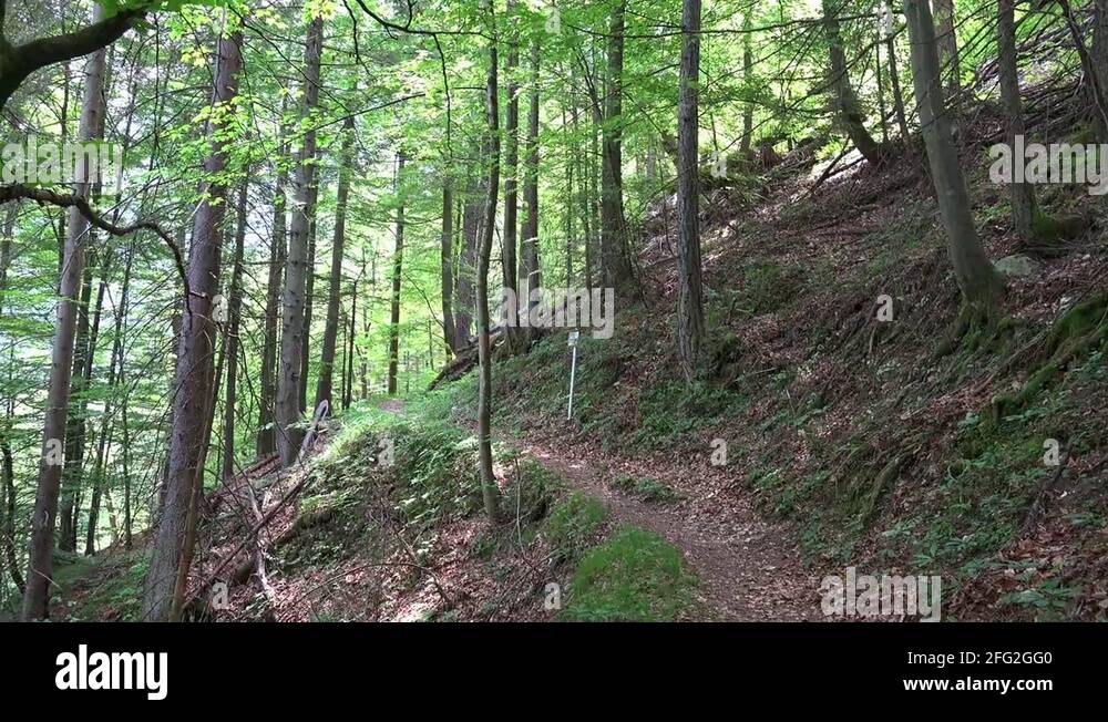 Pathway in the alps Stock Videos & Footage - HD and 4K Video Clips - Alamy