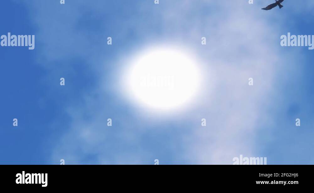4k eagle Flying Over Sunlight,sun rays & solar flare,cloud,Paradise ...