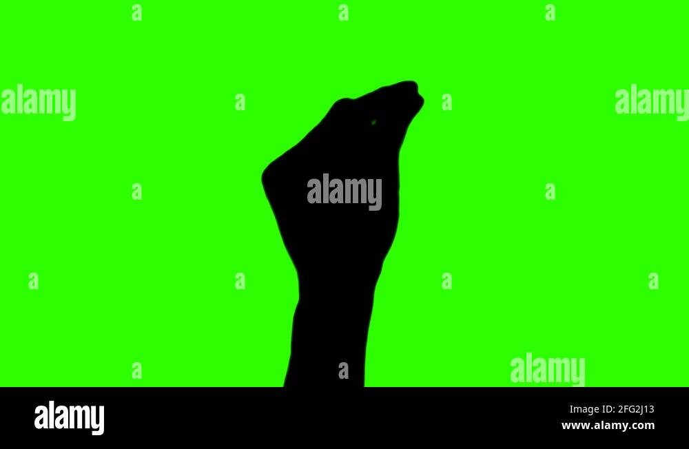 Fingers snapping green screen - HD Stock Video Footage - Alamy