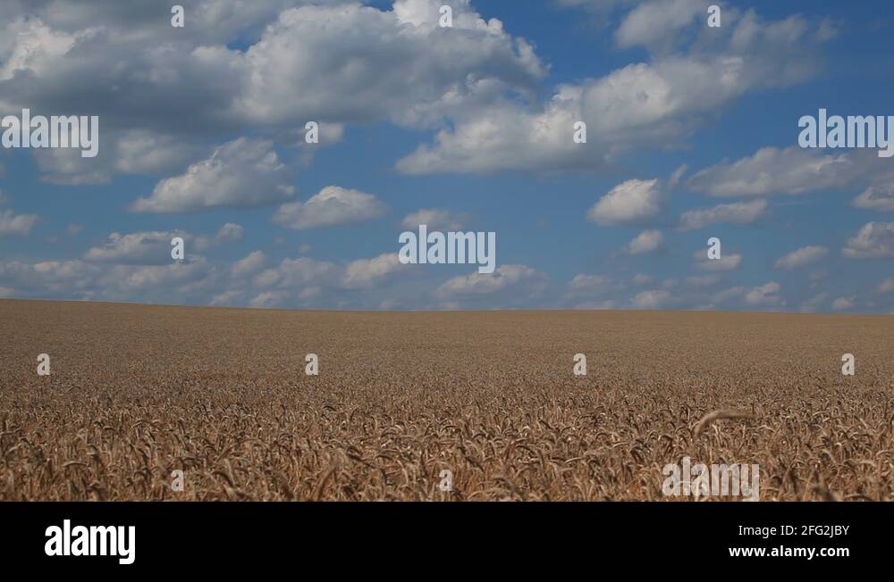 Russian soil Stock Videos & Footage - HD and 4K Video Clips - Alamy