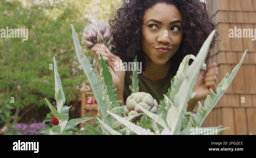 Dancing vegetables Stock Videos & Footage - HD and 4K Video Clips - Alamy