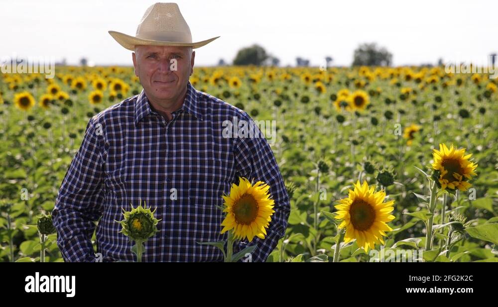 Men cultivation Stock Videos & Footage - HD and 4K Video Clips - Alamy
