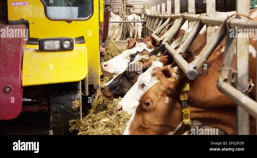 Mechanised agriculture Stock Videos & Footage - HD and 4K Video Clips ...