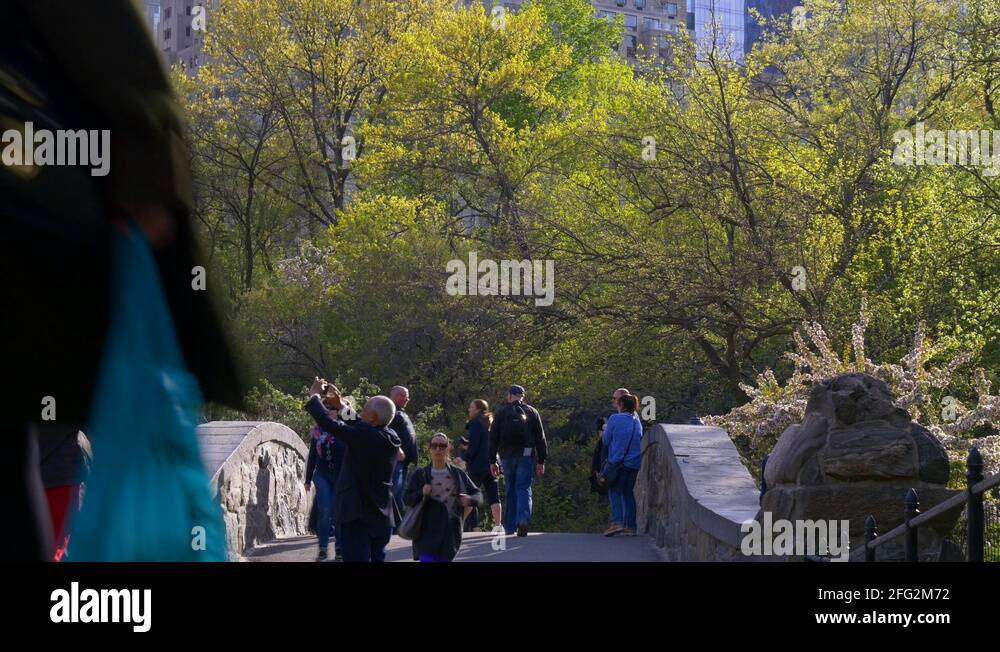new york city summer evening central park crowded bridge 4k usa Stock ...