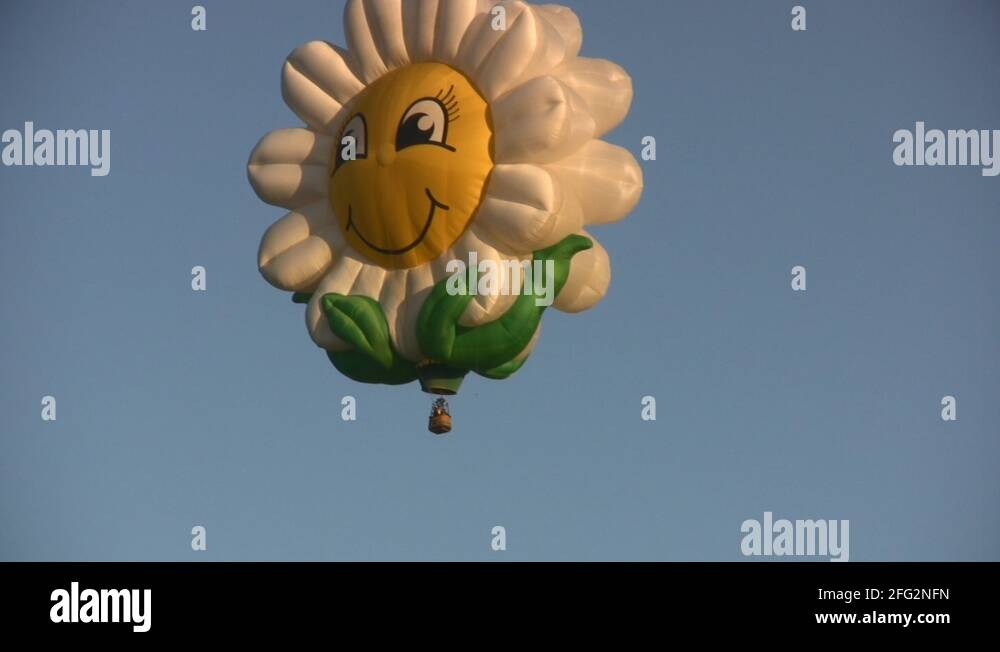 Daisy balloon Stock Videos & Footage - HD and 4K Video Clips - Alamy