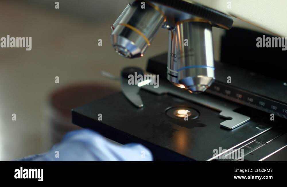 Microbiology microscope Stock Videos & Footage - HD and 4K Video Clips ...