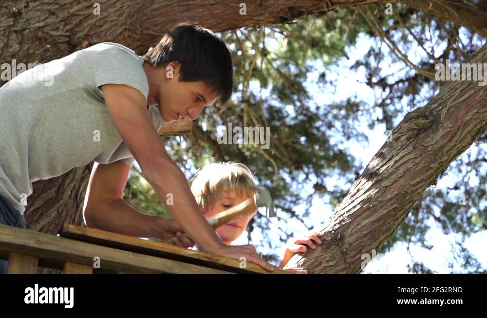 Boy building tree house Stock Videos & Footage - HD and 4K Video Clips ...