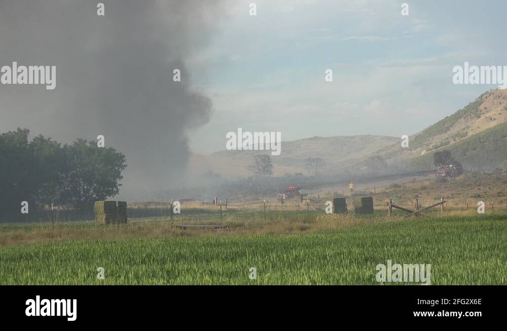 Destroyed wildlife Stock Videos & Footage - HD and 4K Video Clips - Alamy