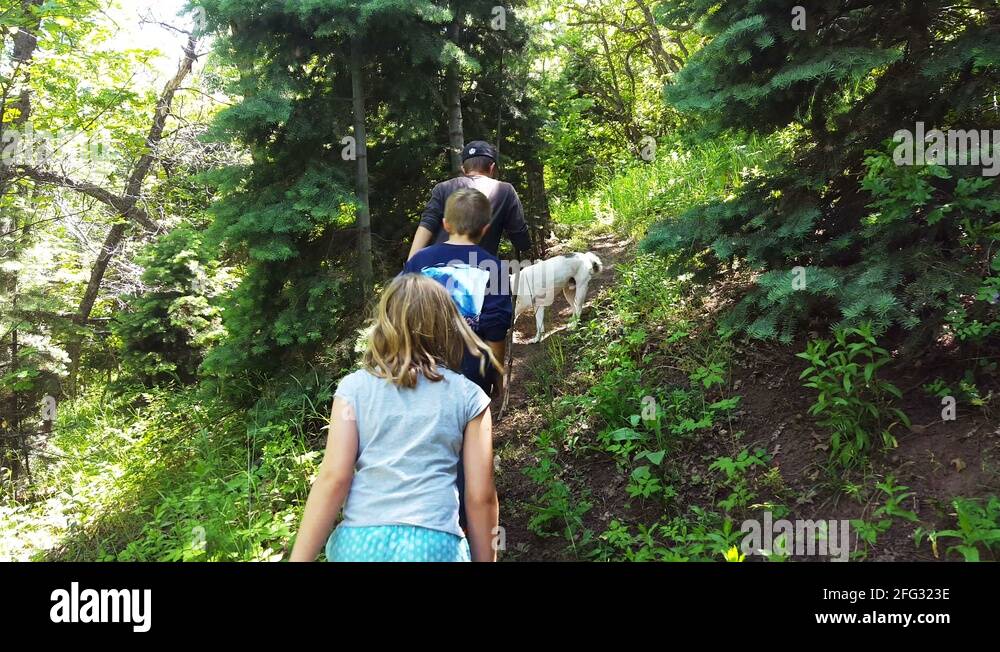 Children age 9 11 Stock Videos & Footage - HD and 4K Video Clips - Alamy