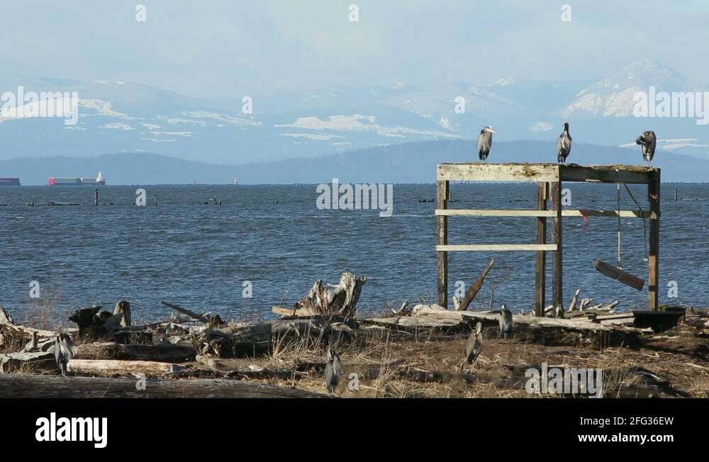 Wooden tugboat Stock Videos & Footage - HD and 4K Video Clips - Alamy
