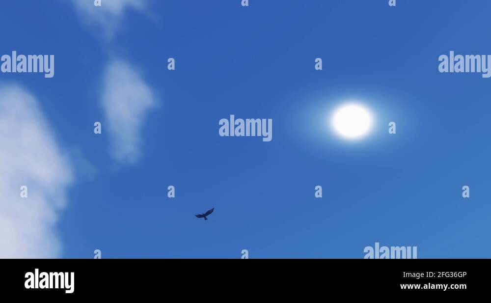 4k eagle Flying Over Sunlight,sun rays & solar flare,cloud,Paradise ...