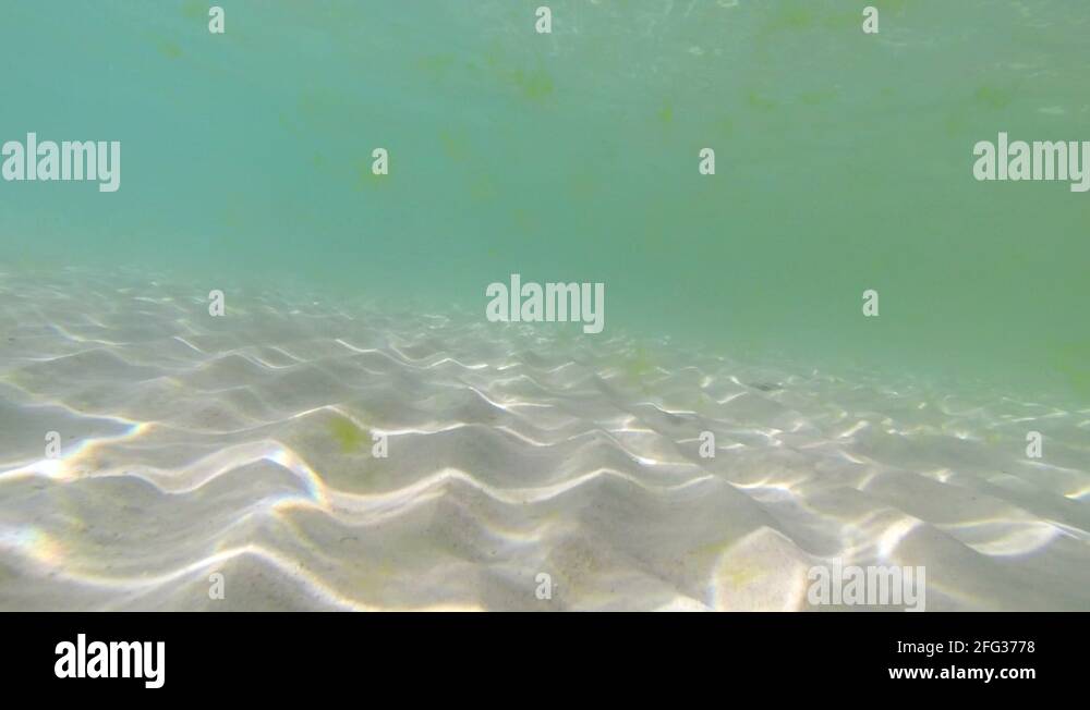 Underwater view from below Stock Videos & Footage - HD and 4K Video ...