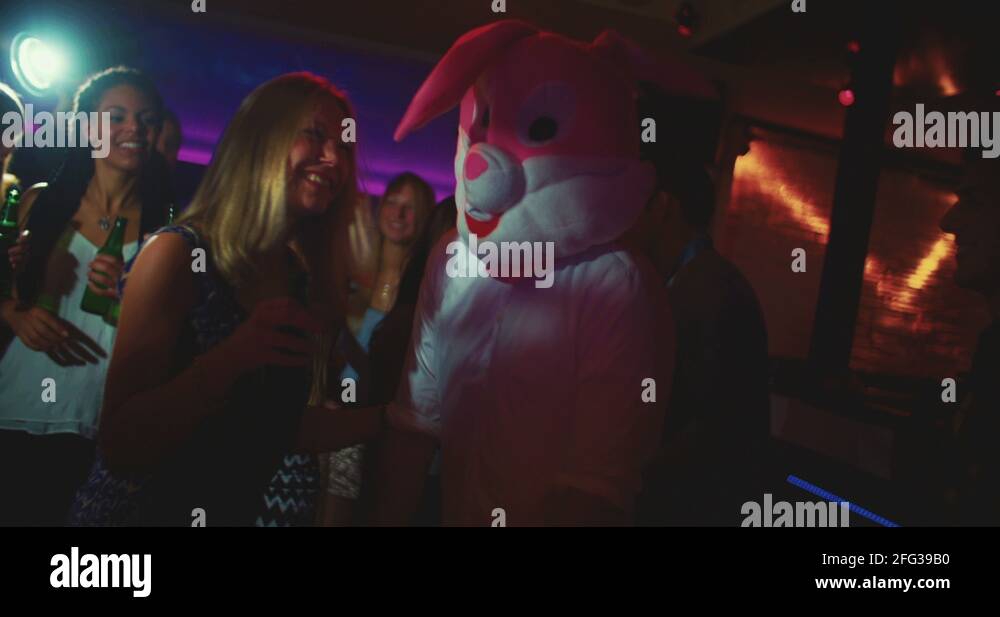 Bunny club Stock Videos & Footage - HD and 4K Video Clips - Alamy