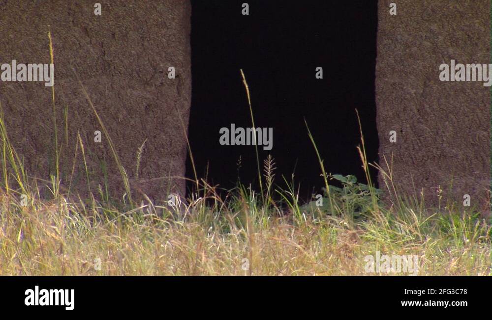 Door in mud brick Stock Videos & Footage - HD and 4K Video Clips - Alamy