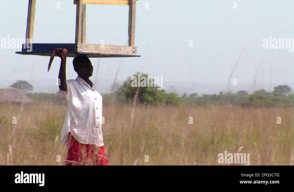 African woman carrying wood on head Stock Videos & Footage - HD and 4K ...