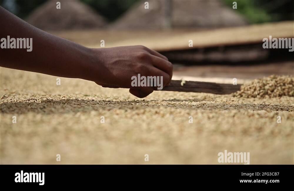 Traditional technic Stock Videos & Footage - HD and 4K Video Clips - Alamy